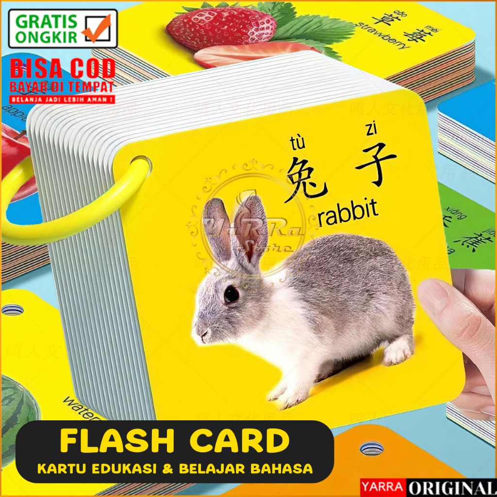 Jual Flash Card Edukasi Anak Mainan Kartu Pintar Belajar Hewan Buah ...