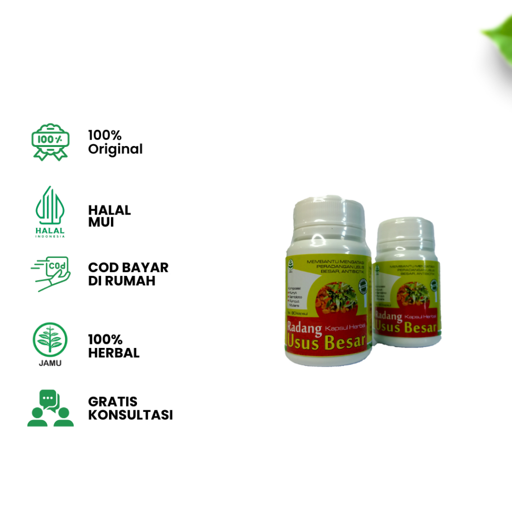 Jual Obat herbal kapsul radang usus besar isi 80 untuk radang usus dan ...