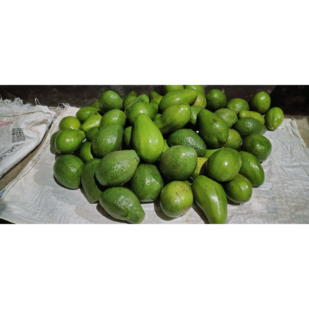 Jual alpukat super jumbo isi 2-3//1kg | Shopee Indonesia
