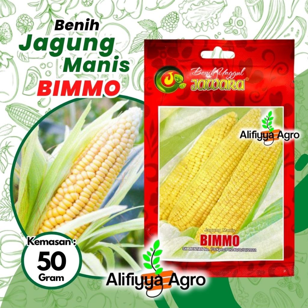Jual Benih Jagung Manis - BIMMO 50 Gram - Benih Jagung JAWARA Unggul ...