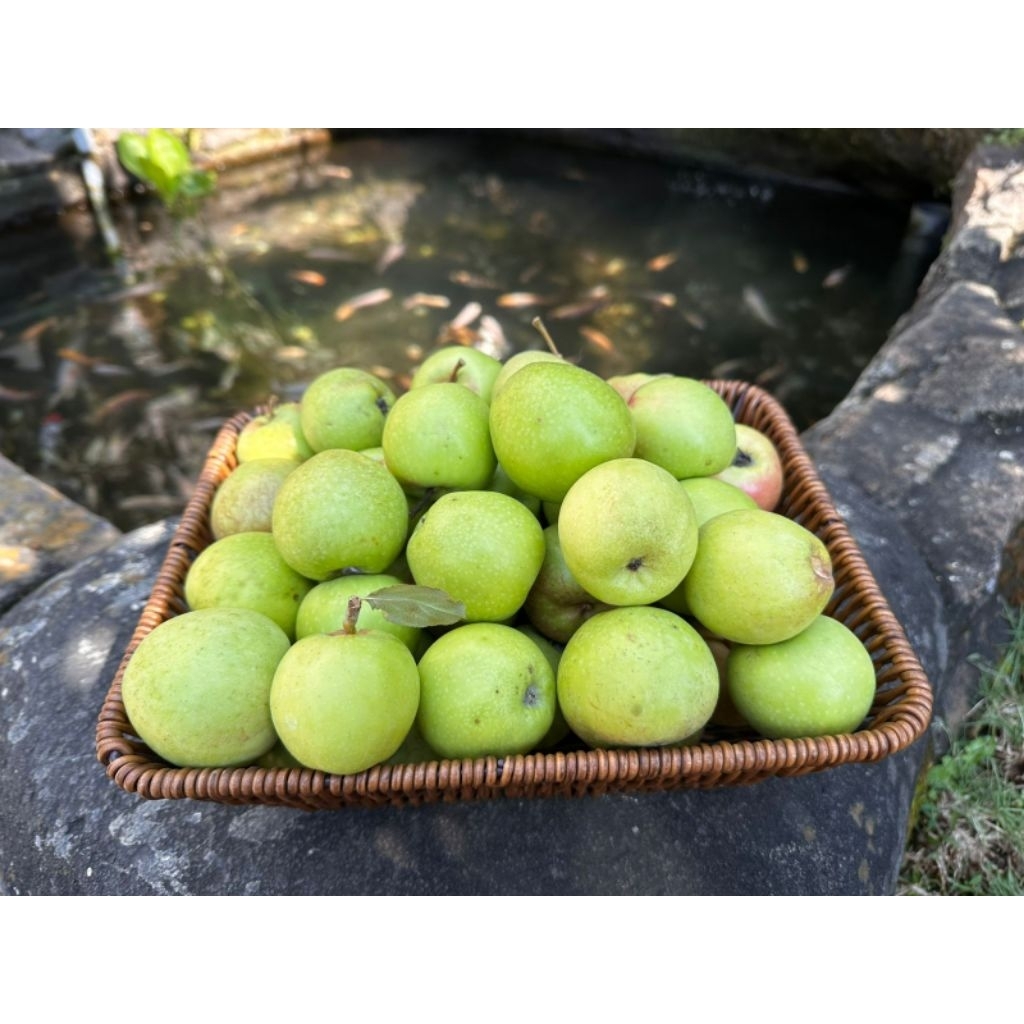 Jual Apel 1 Kg Terlengkap & Harga Terbaru April 2026 | Shopee Indonesia