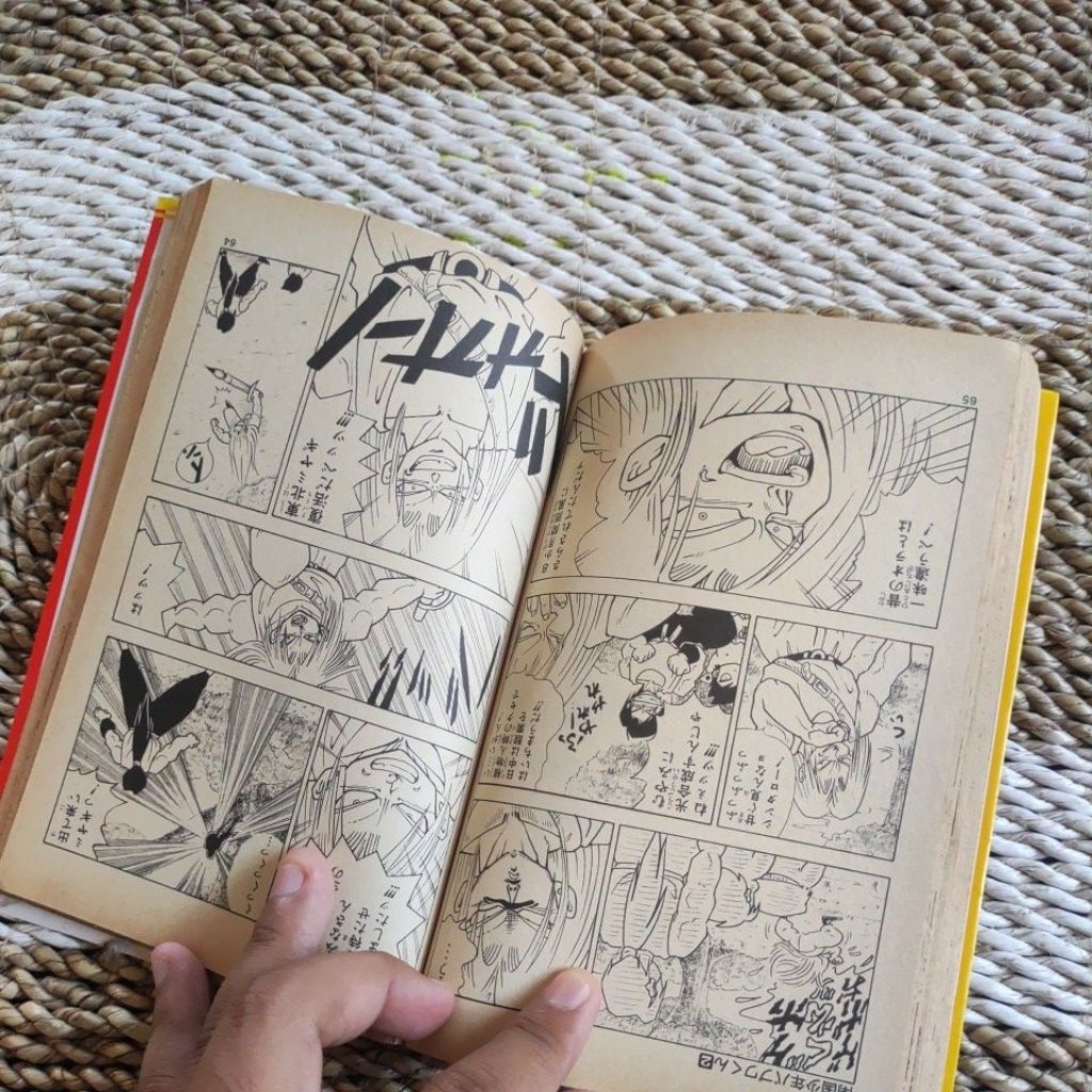 Jual Komik Jepang Nangoku Shonen Papuwa-kun Vol.2 by Ami Shibata ...