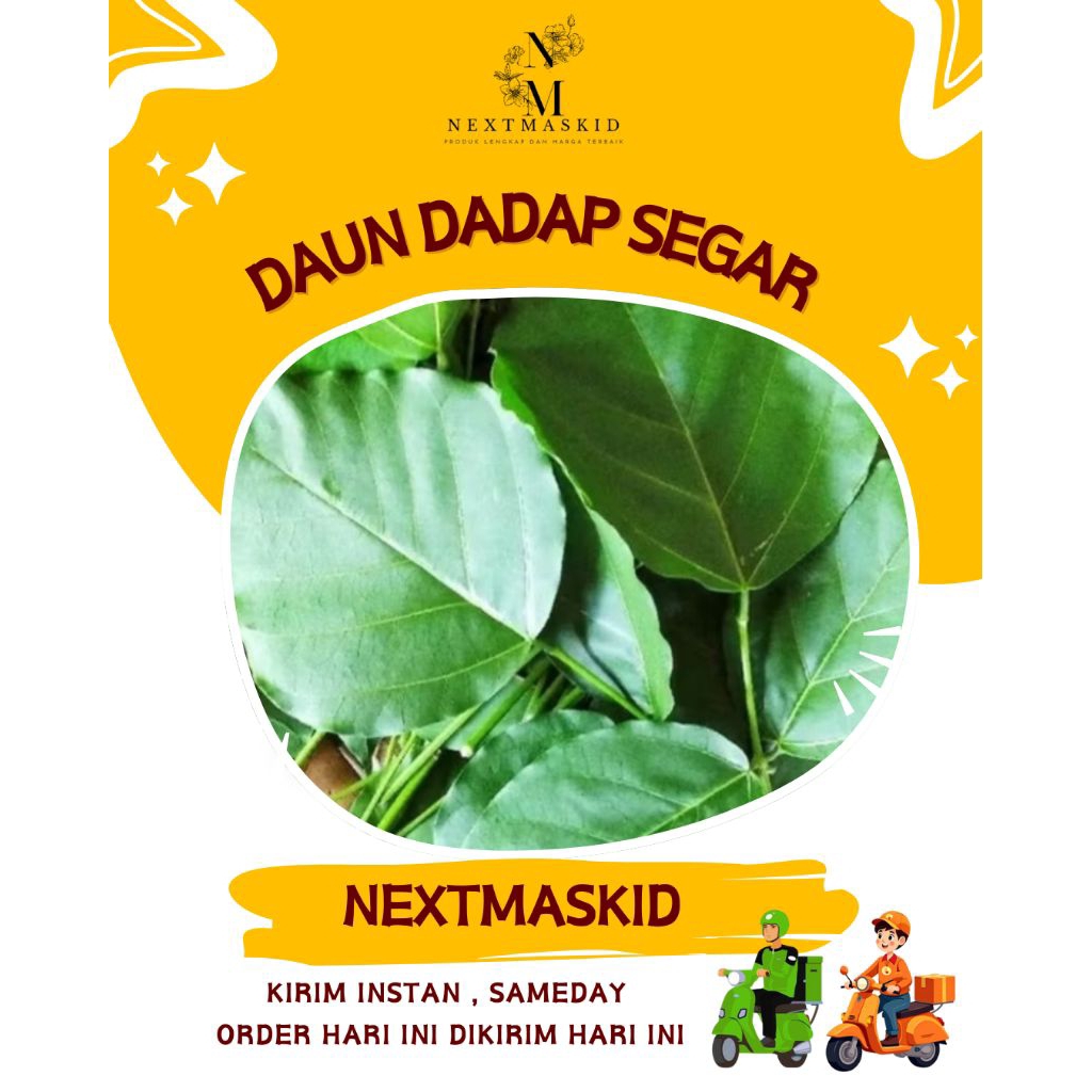Jual DAUN DADAP SEREP / Daun Herbal / Di petik Dadakan | Shopee Indonesia