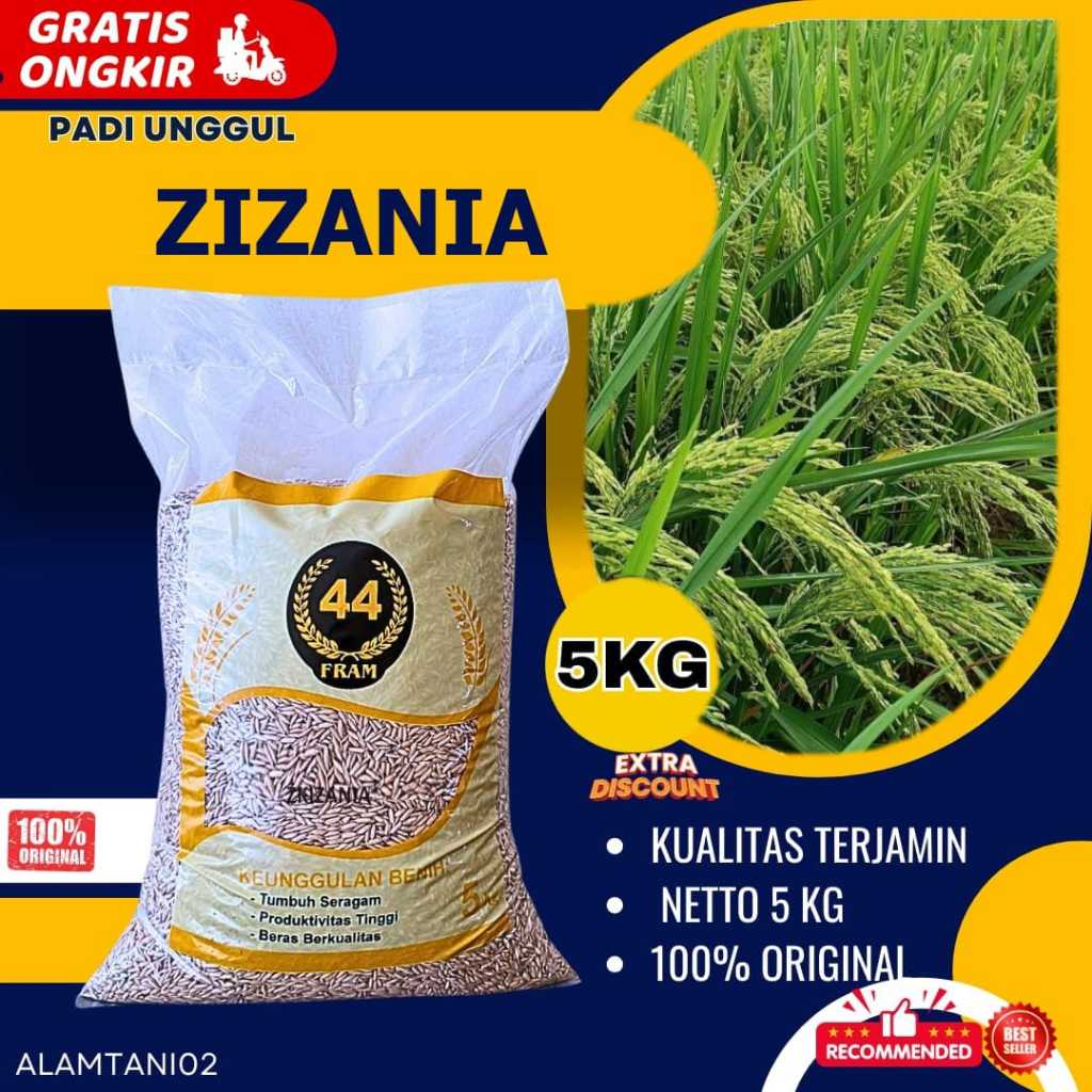 Jual benih padi bibit padi unggul ZIZANIA kemasan 5 kg galur ...