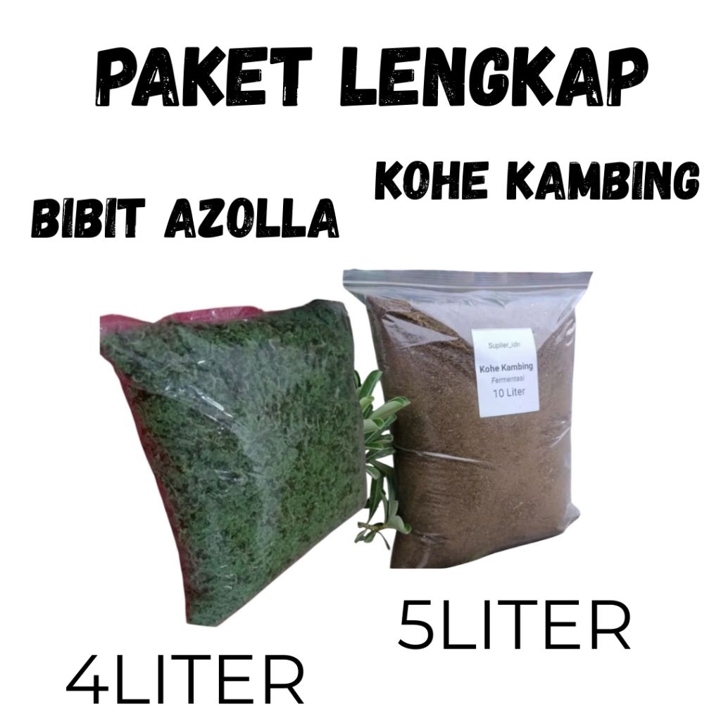 Jual bibit azolla Microphylla dan kohe kambing halus Siap Pakai ...