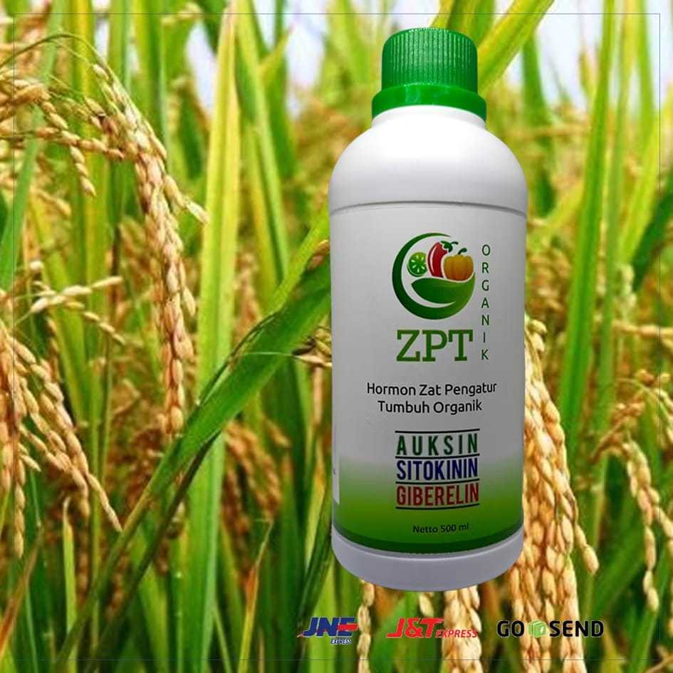 Jual Hormon Penyubur Tanaman ZPT Organik Zat Pengatur Tumbuh Kandungan ...