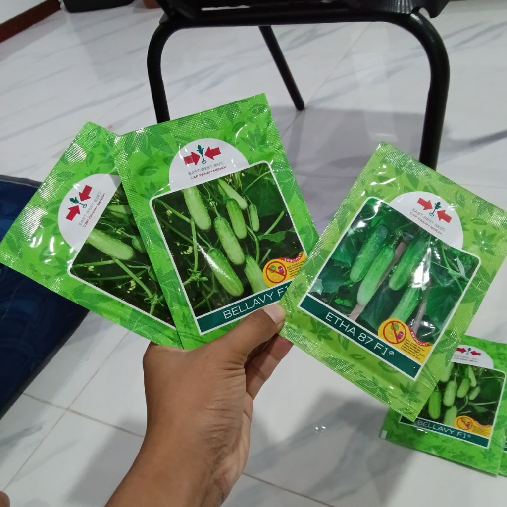Jual Benih Bibit Timun Bellavy F1 "GRATIS ONGKIR DAN VOUCER DISKON ...