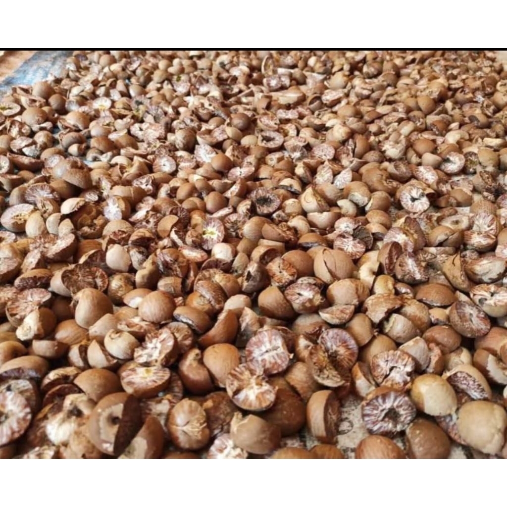 Jual Pinang Kering Olahan Petani | Shopee Indonesia