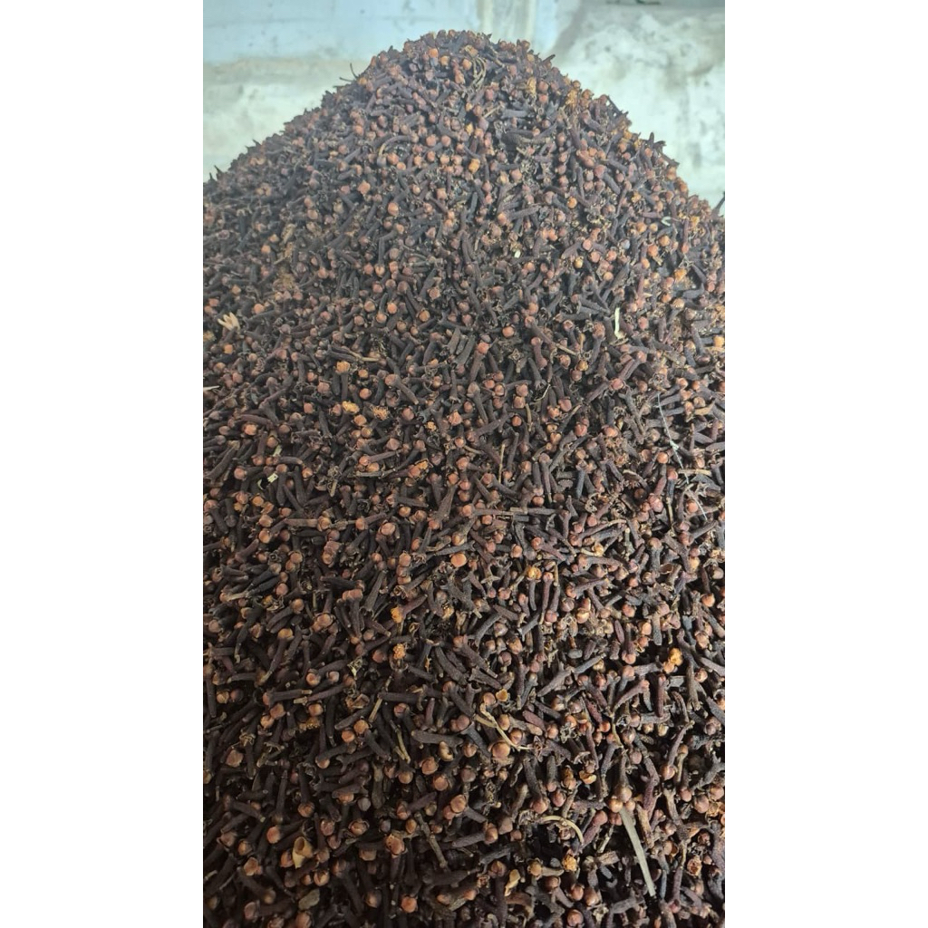 Jual CENGKEH ORIGINAL MURNI SUPER KERING 100gr | Shopee Indonesia