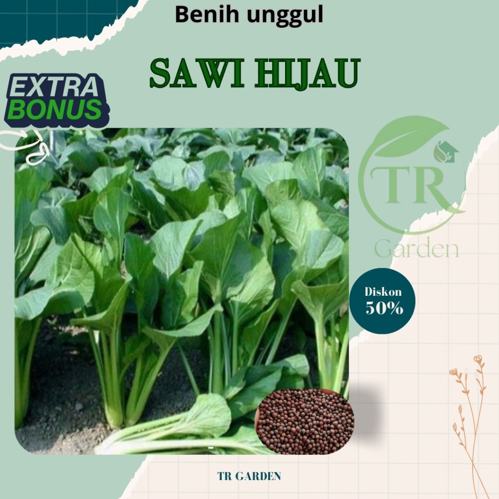 Jual biji benih SAWI HIJAU | SAWI CAISIM MANIS KUALITAS UNGGUL | Shopee ...