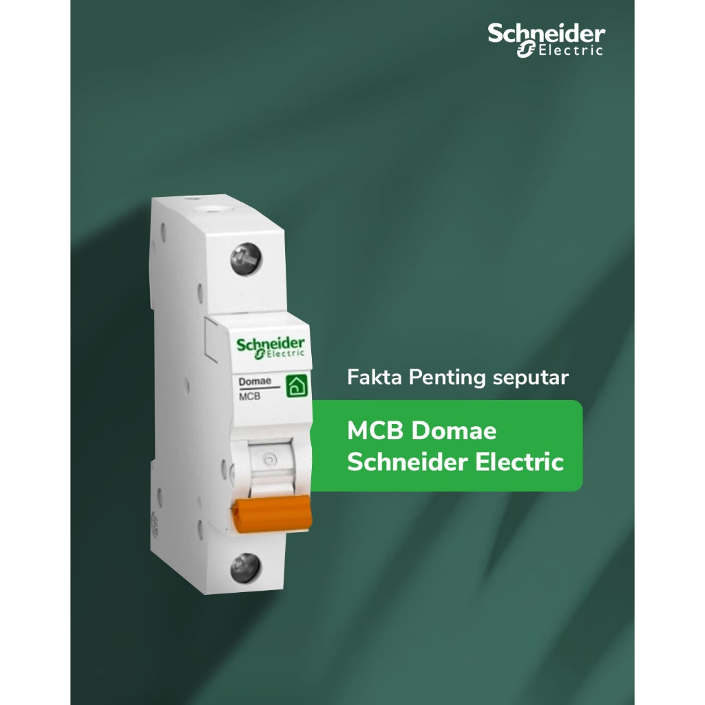 Jual MCB Domae 1 Kutub Schneider : 2 A - 63 A . Miniature Circuit ...