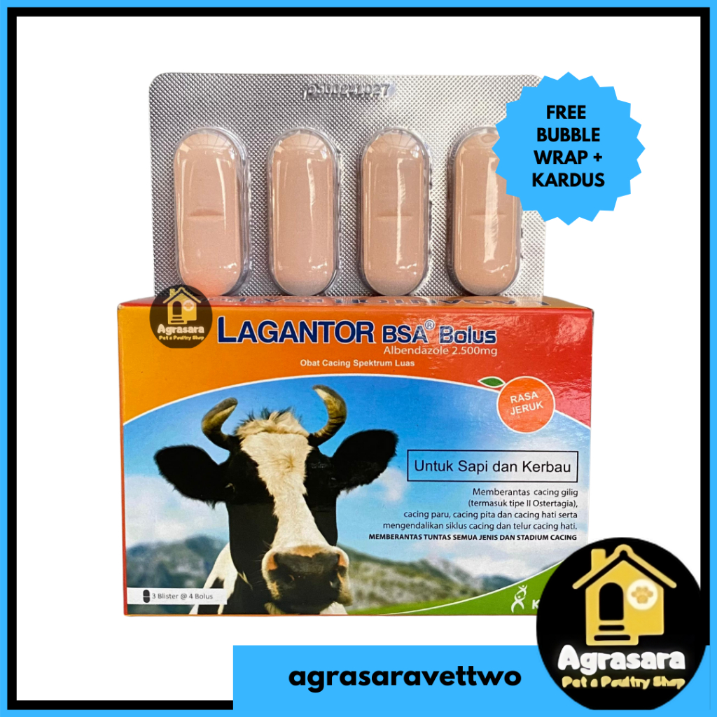 Jual LAGANTOR BSA BOLUS harga 1 box (ISI 12 bolus) - Obat Cacing Sapi ...