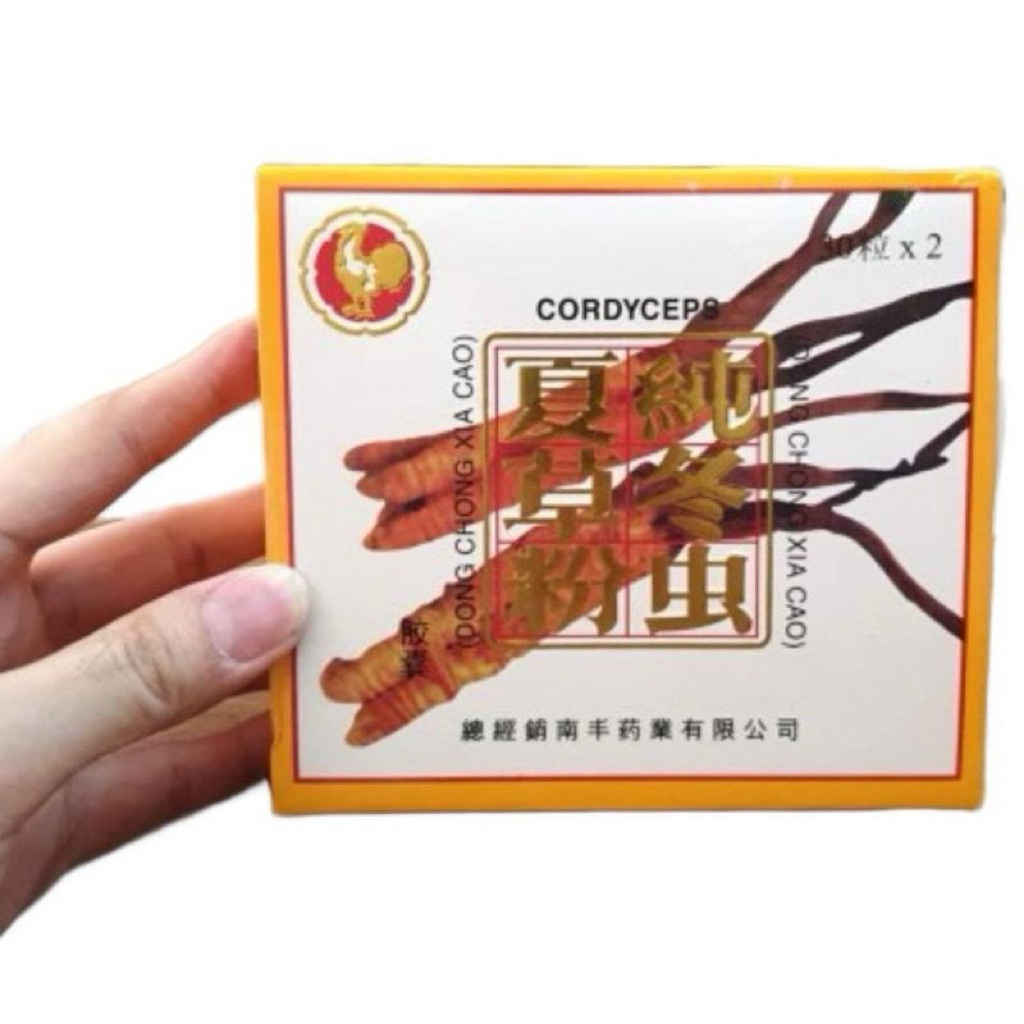 Jual Dong Chong Xia Cao Powder Capsule (Cordyceps) Obat Ginjal Paru ...