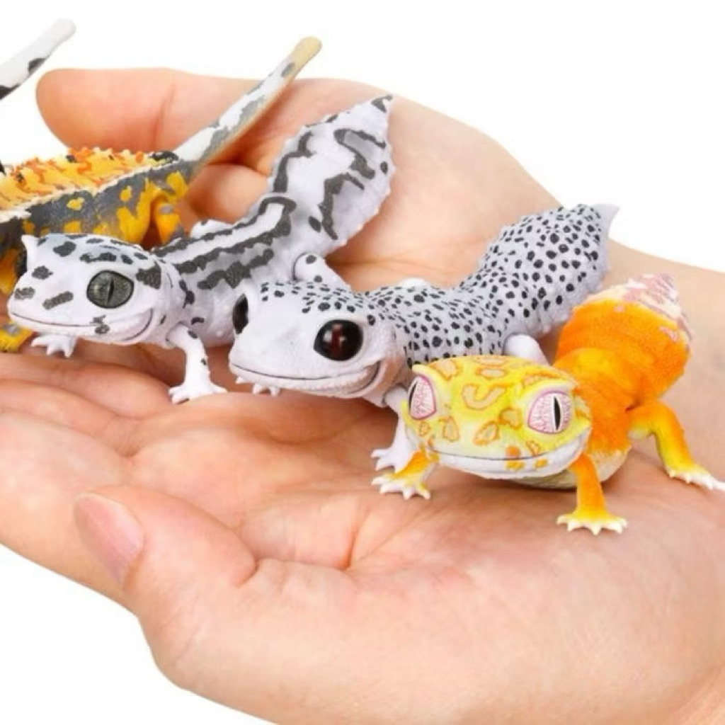 Jual Ikimono Repti Leopard Gecko Gashapon Gacha Bandai dango mushi ...