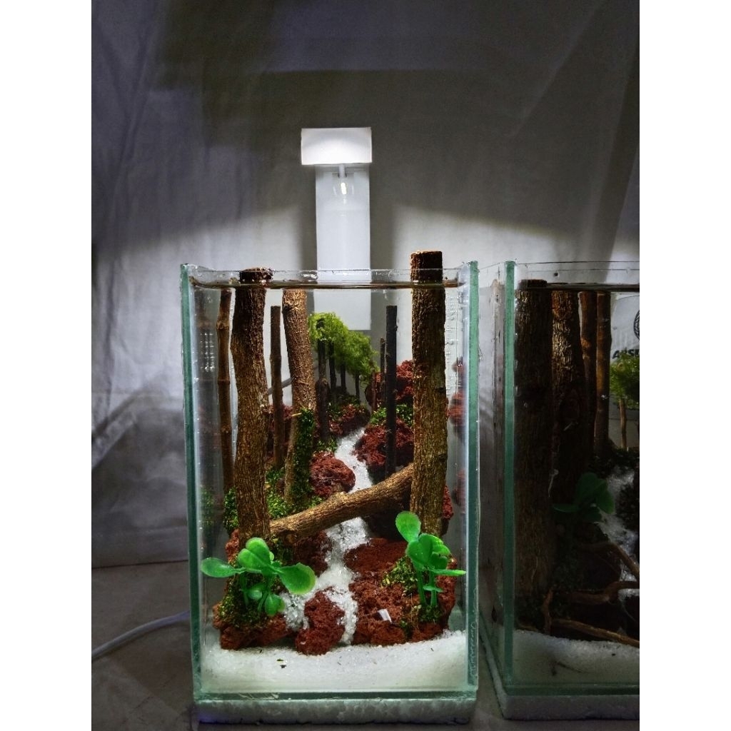 Jual aquascape mini tema alam atau hutan ukuran aquarium 10.10.15 ...