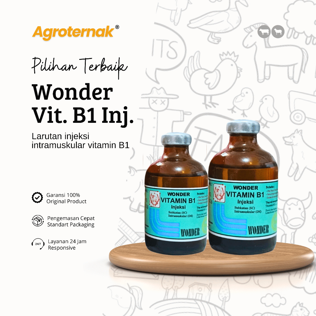 Jual Vitamin B1 100 ml Inj. Wonder Suplemen Pencegah Gangguan Syaraf ...