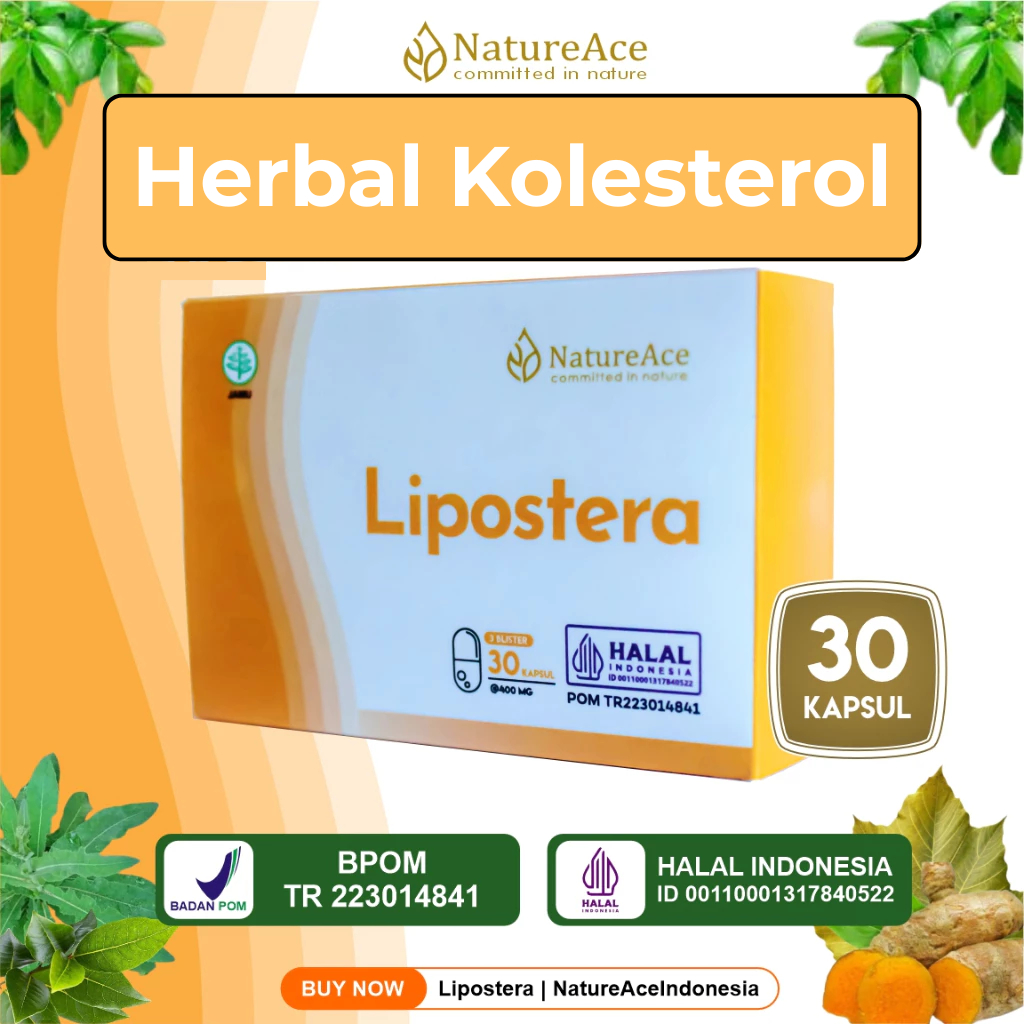 Jual Nature Ace Obat Kolesterol Trigliserida Leher Bahu Kaku Lemak ...