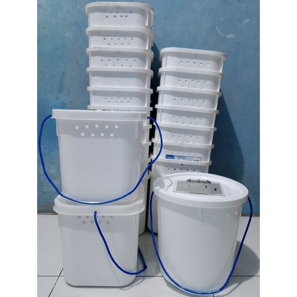 Jual box / tempat udang hidup | Shopee Indonesia