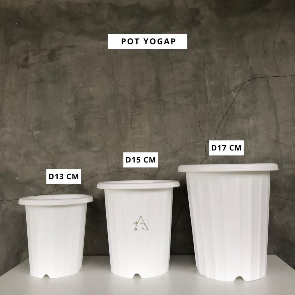 Jual Pot Yogap Putih D13 cm | Pot Plastik | Pot Tanaman Hias | Pot ...