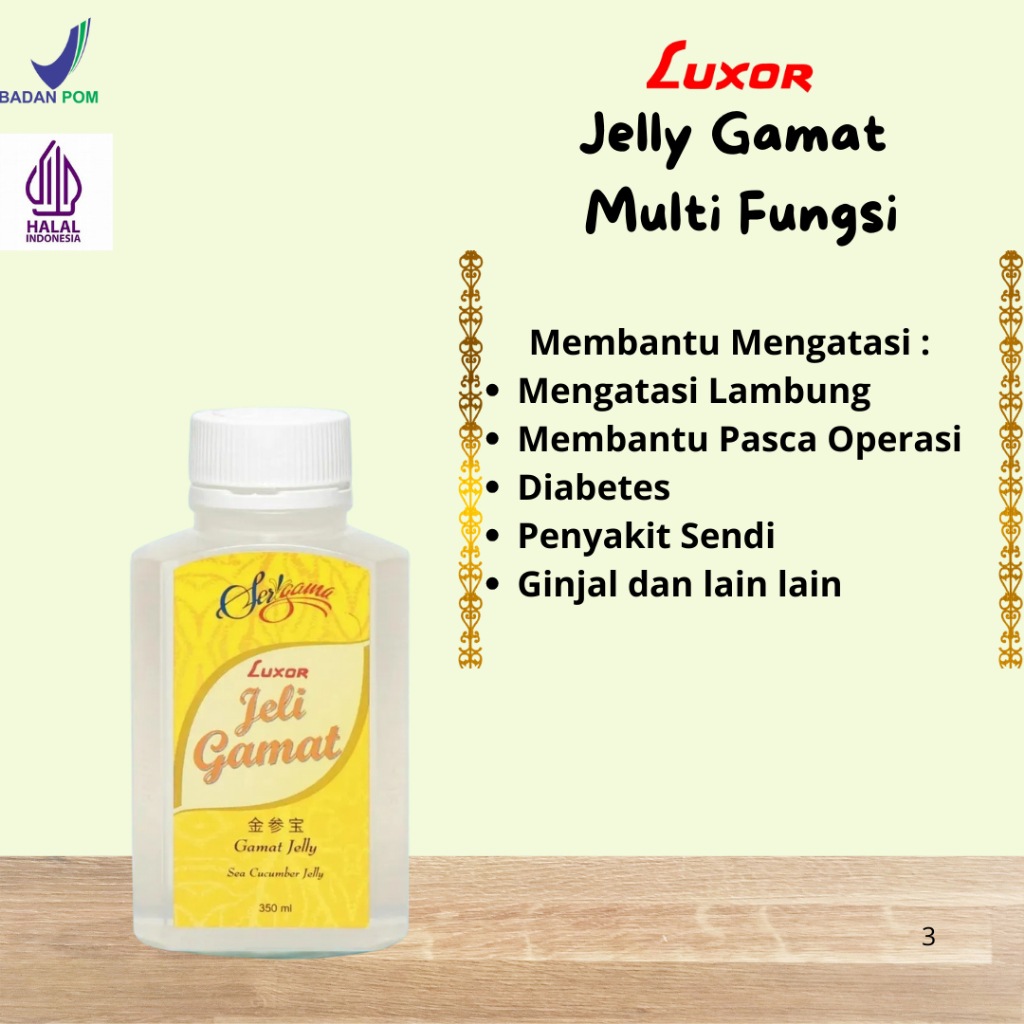 Jual Jelly Gamat Ekstrak Teripang 34% Tinggi Kolagen & Protein Saponin ...