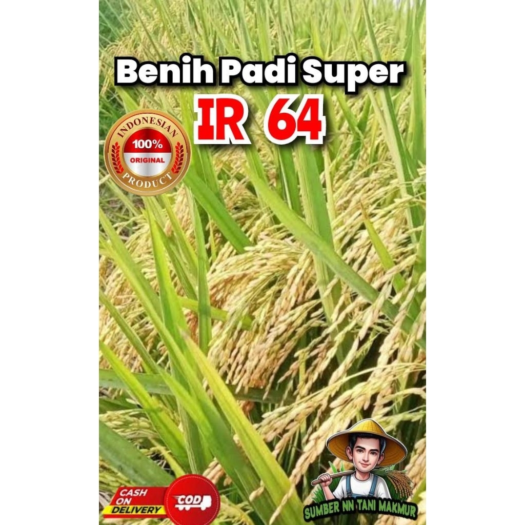 Jual Benih Padi Unggul IR 64 Kemasan 5 Kg Kualitas Super | Shopee Indonesia
