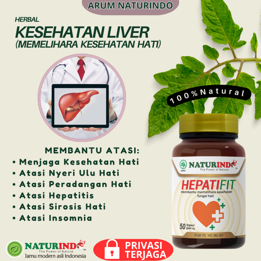 Jual Herbal Kesehatan Peradangan Hati Penyakit Liver Hepatitis Menjaga ...