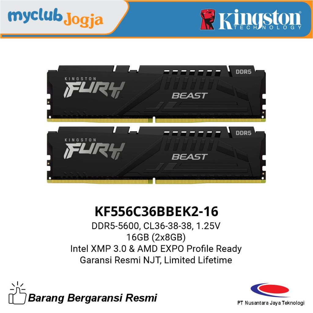 Jual Memori RAM DDR5 16GB (8GBx2) 5600MHz EXPO XMP Kingston FURY Beast ...