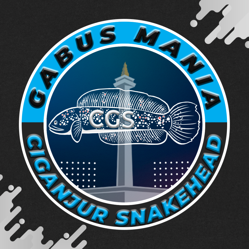 Jual stiker Channa blue pulchra | Shopee Indonesia