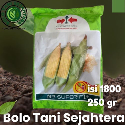 Jual Benih Jagung Manis NB SUPER F1 Cap Panah Merah 250 gr Exp Juni ...