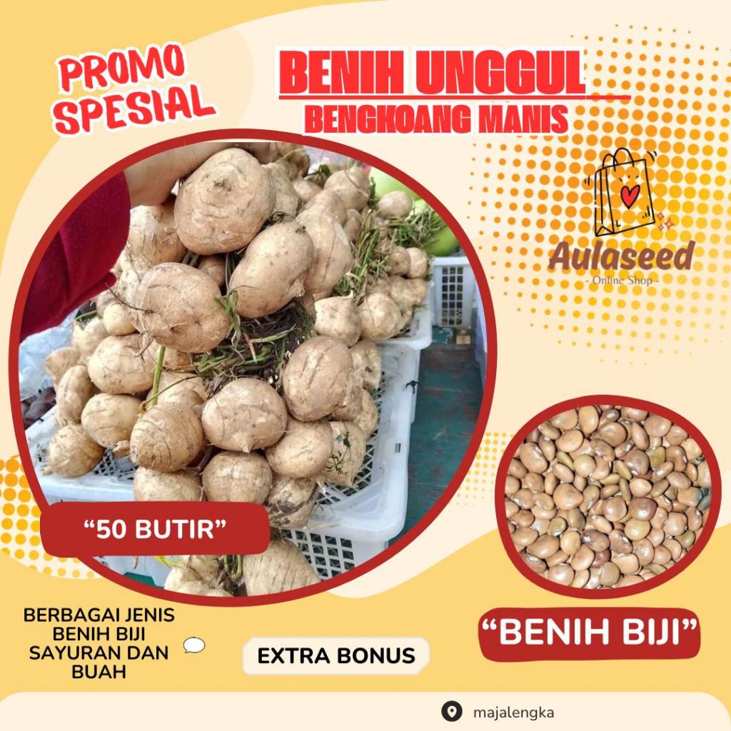Jual 50 Butir >Benih Biji Bengkoang Manis>Bibit Bengkoang | Shopee ...