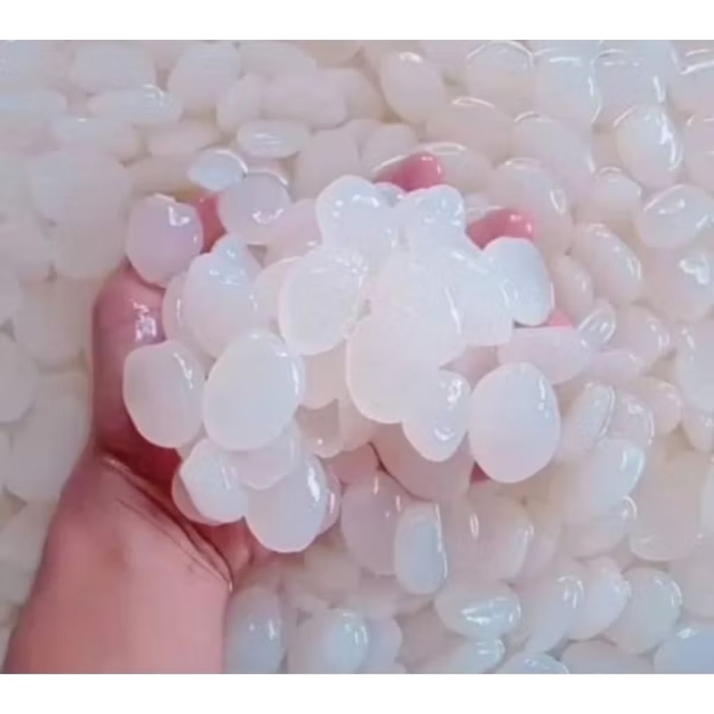 Jual Biji Kolang Kaling Segar 1kg | Buah kolang-kaling | Cangkaleng ...