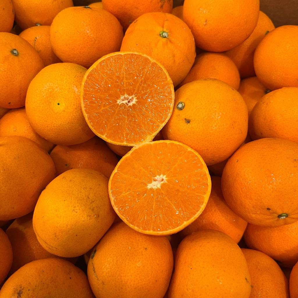 Jual JERUK MANDARIN AFRIKA MINI | Buah Jeruk Manis Enak | Shopee Indonesia