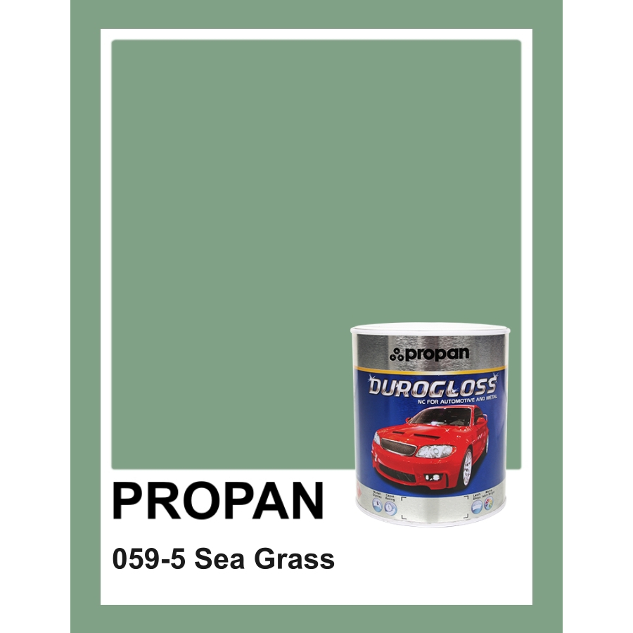 Jual CAT PROPAN DUROGLOSS NC DR-2000 1 LT - 059-5 SEA GRASS | Shopee ...