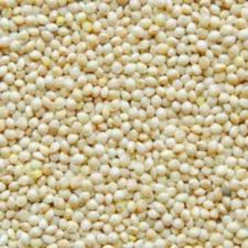 Jual Milet Putih 1KG Pakan Burung Merpati Dll | Shopee Indonesia