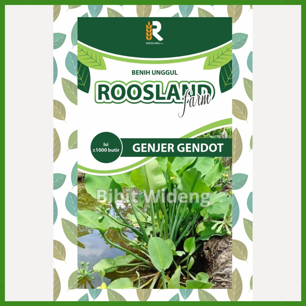 Jual KEMASAN PREMIUM: 1.000 BENIH GENJER GENDOT SAYUR ORIGINAL BIBIT ...