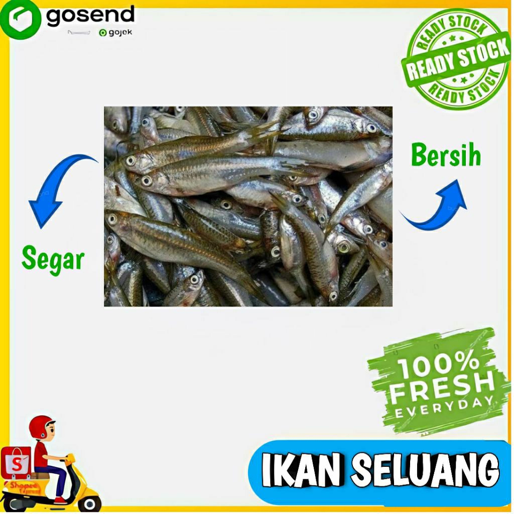 Jual Ikan Seluang Segar - Sahabat Dapur Delivery | Shopee Indonesia