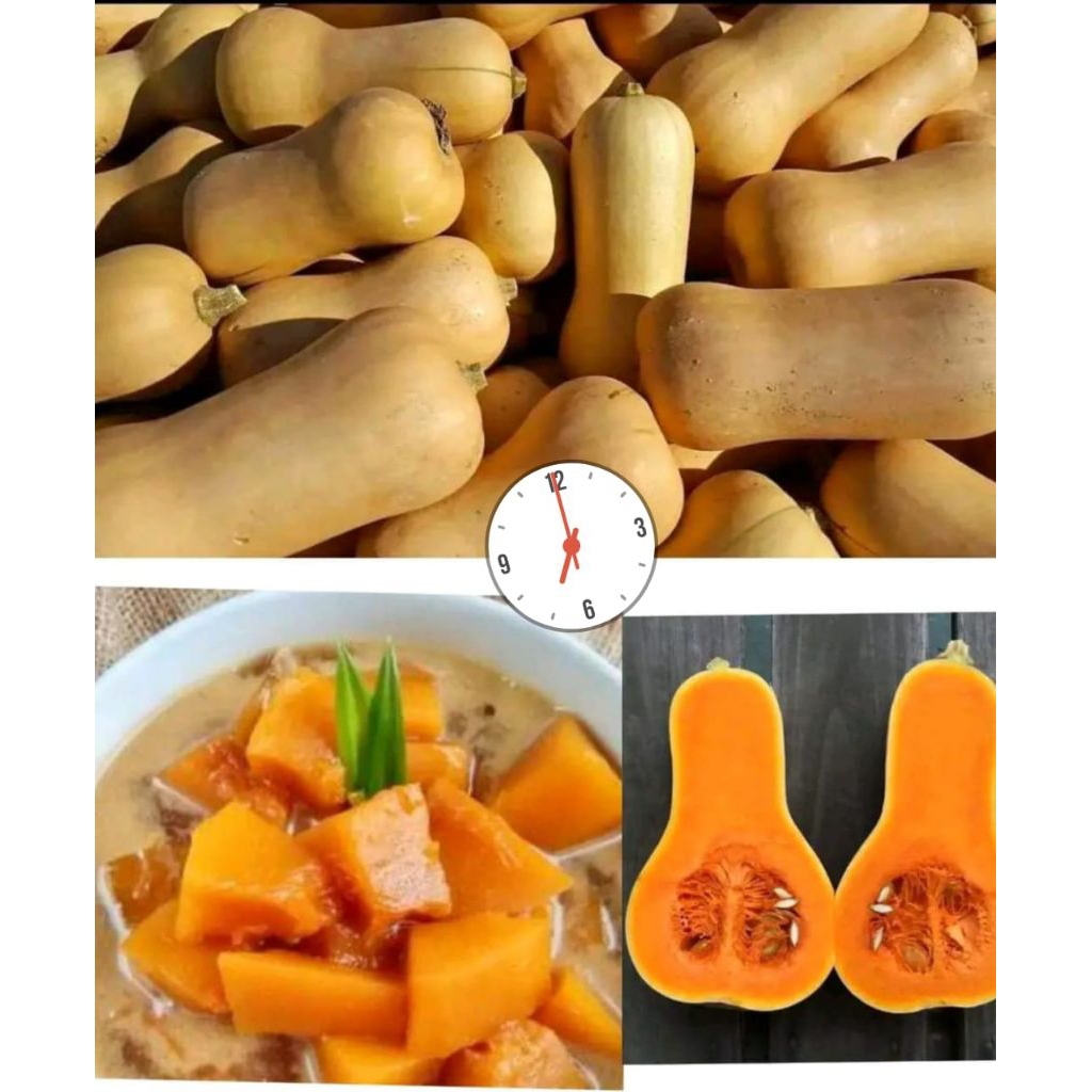 Jual labu madu berat 2kg | Shopee Indonesia