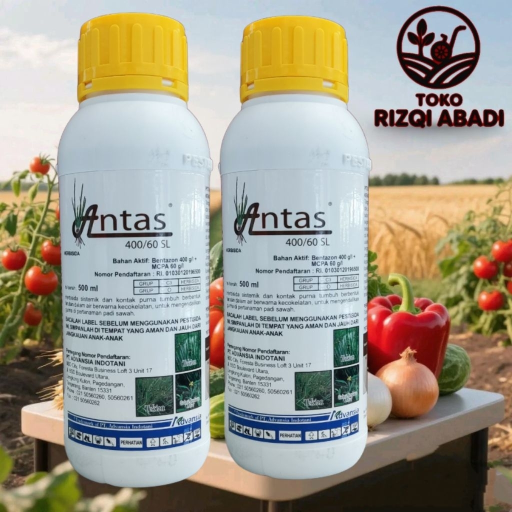 Jual ANTAS 400/60 SL Bentazon 400 g/L MCPA 60 g/L ampuh mengendalikan ...