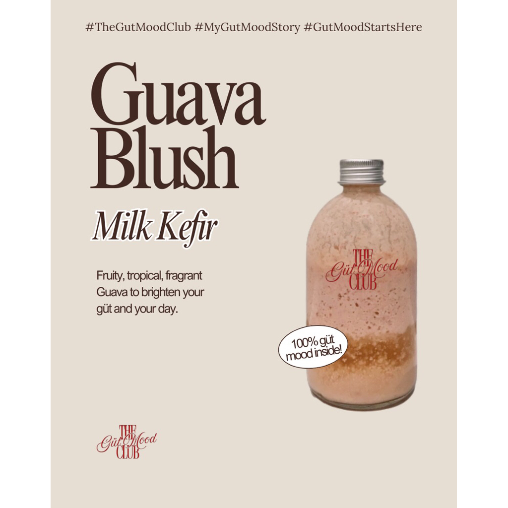 Jual The Gut Mood Club Guava Blush Milk Kefir - Susu Kefir Guava Blush ...