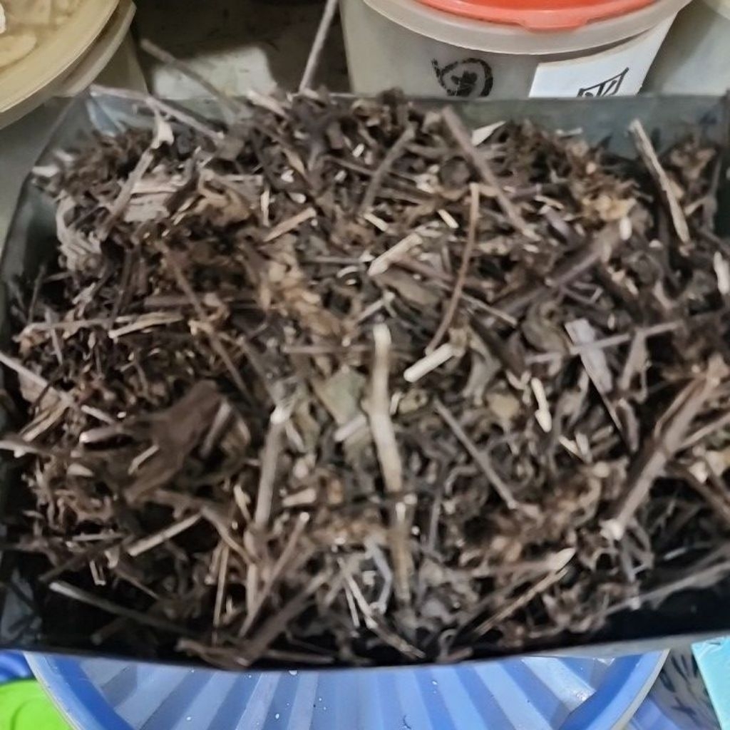 Jual Ng Nyong Cho 50 gram Se Ho bunga lonjong wangi kering | Shopee ...
