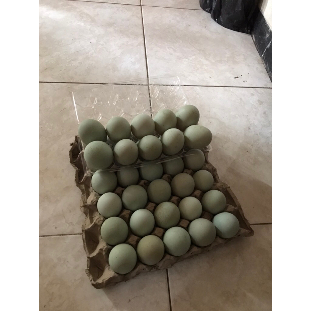 Jual telur bebek mentah fresh isi 8 Butir | Shopee Indonesia