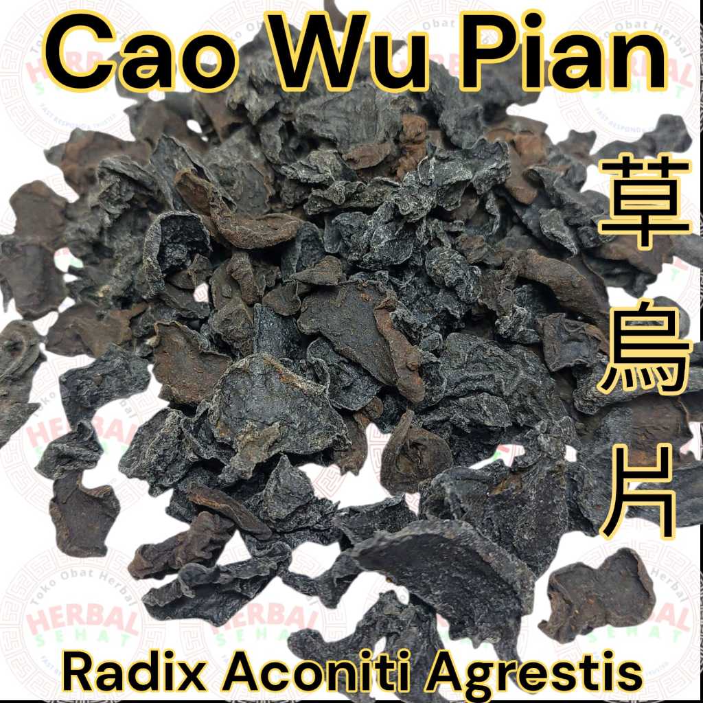 Jual Cao Wu Pian 250-500-600-1000 gram / Wu Tou Pian / Radix Aconiti ...