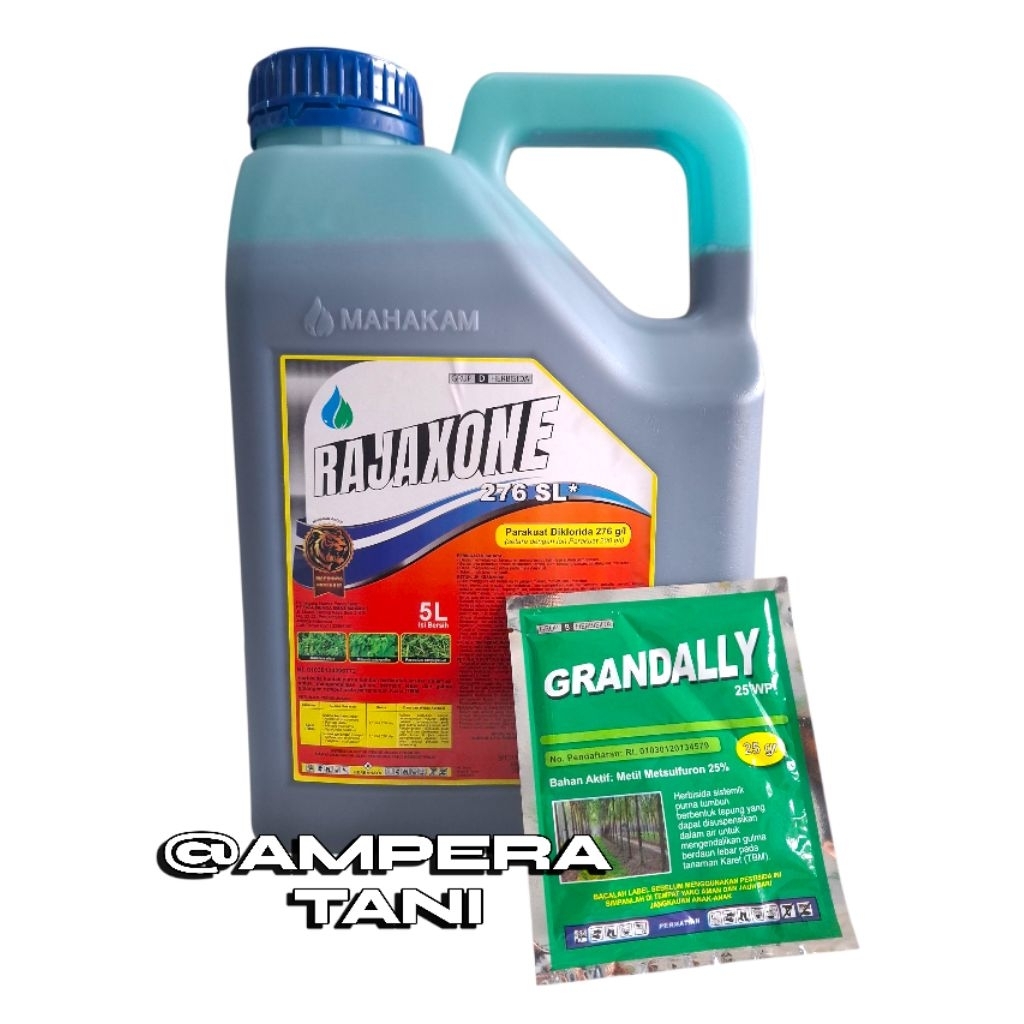 Jual HERBISIDA KONTAK RAJAXONE 276SL 5 LT/MAHAKAM/MENGENDALIKAN RUMPUT ...