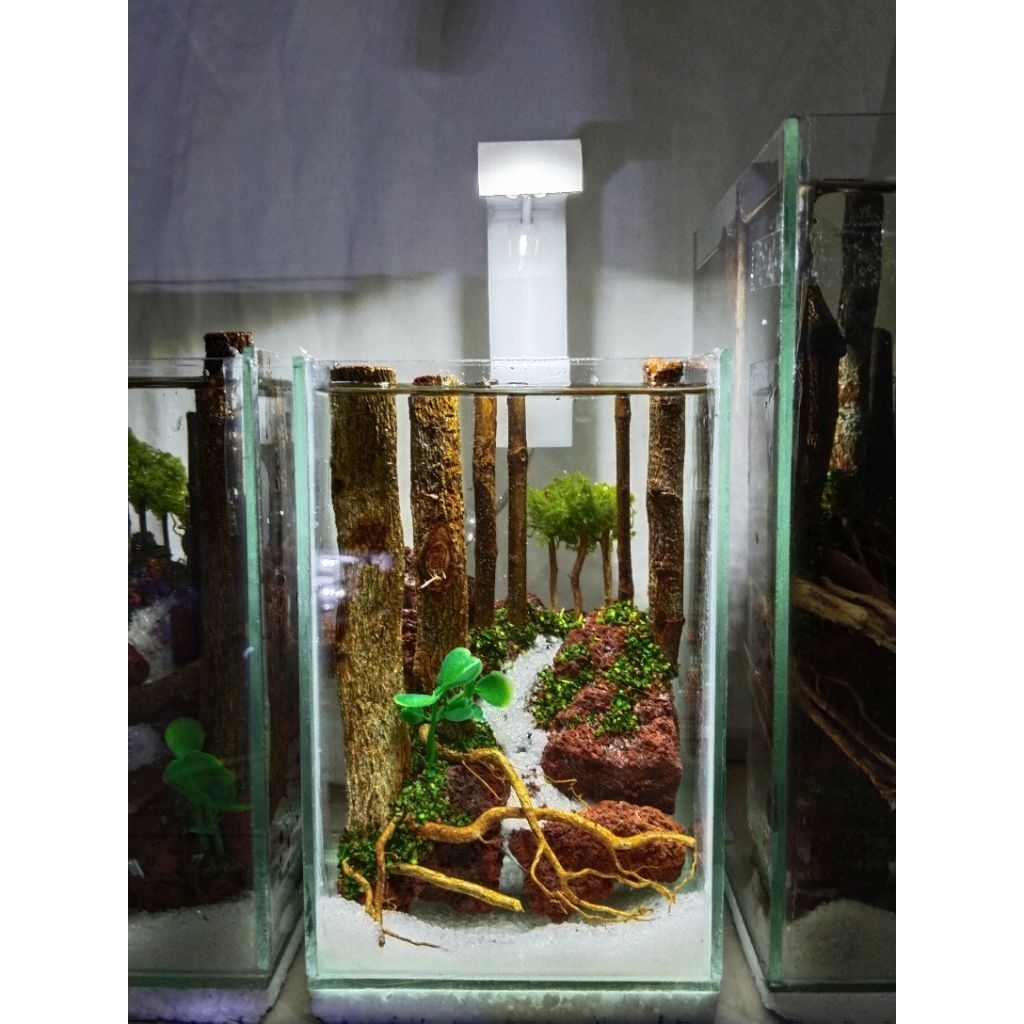 Jual aquascape mini tema alam atau hutan ukuran aquarium 10.10.15 ...
