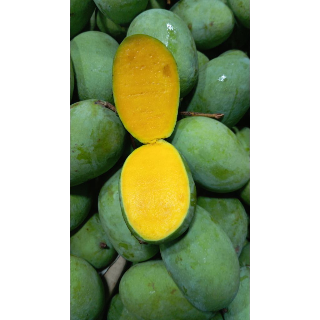 Jual MANGGA KWENI MATANG 1KG | Shopee Indonesia