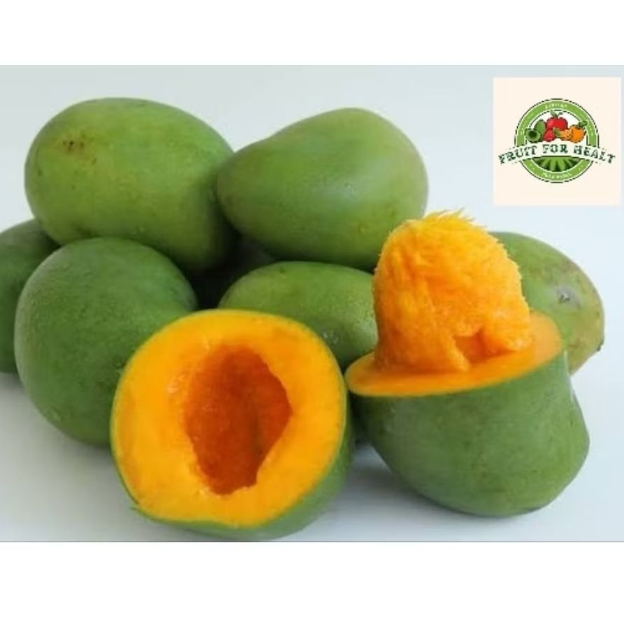 Jual Mangga alpukat pasuruan manis 1kg | Shopee Indonesia