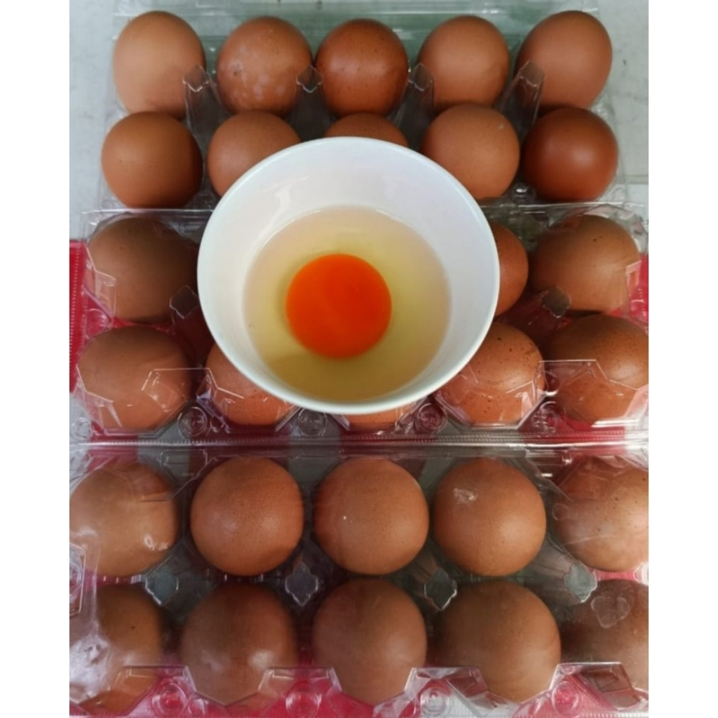 Jual Telur Omega / Telur Negeri Omega 3 / Telur Negeri Omega / Telor ...