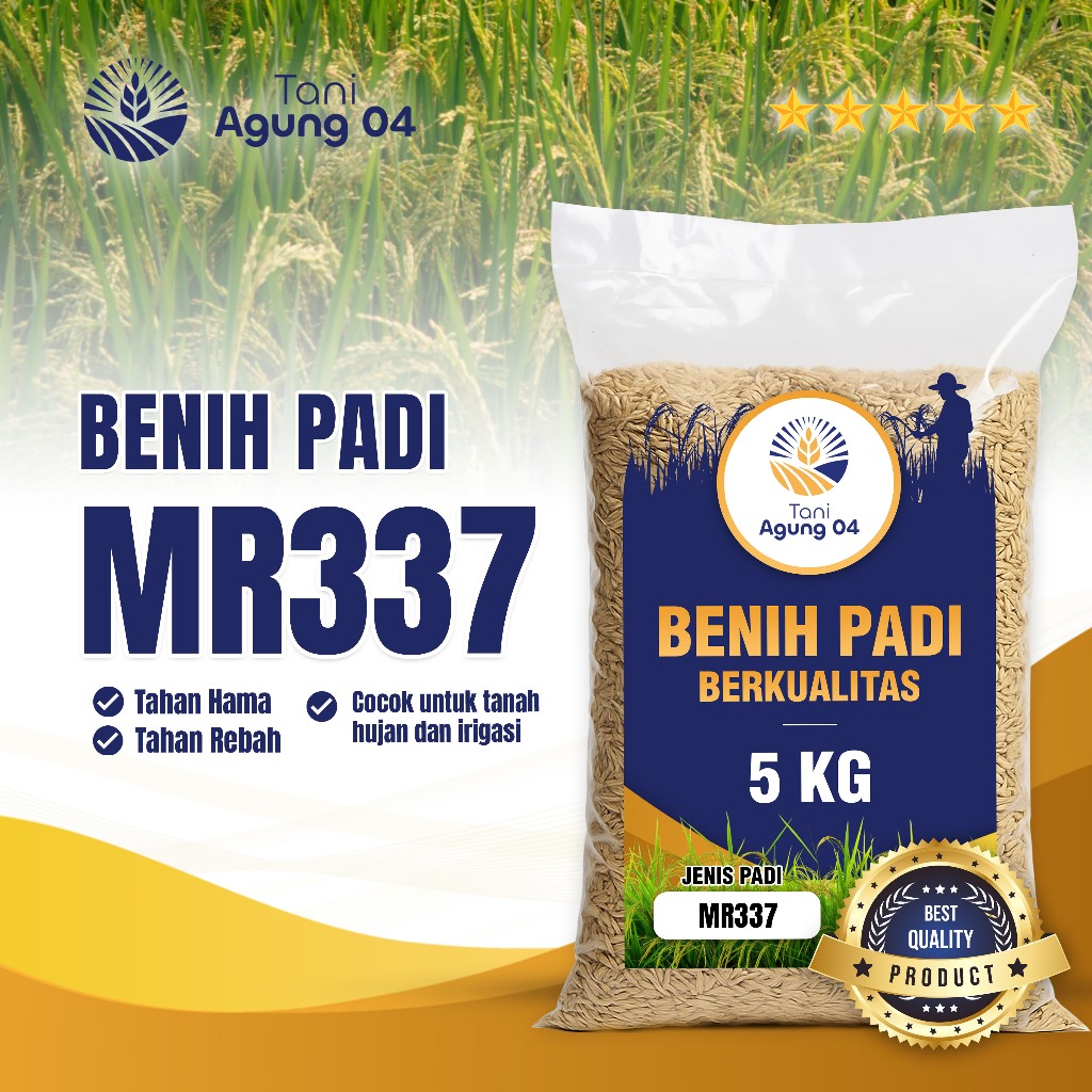 Jual Benih Padi MR 337 Kemasan 5kg Premium | Shopee Indonesia