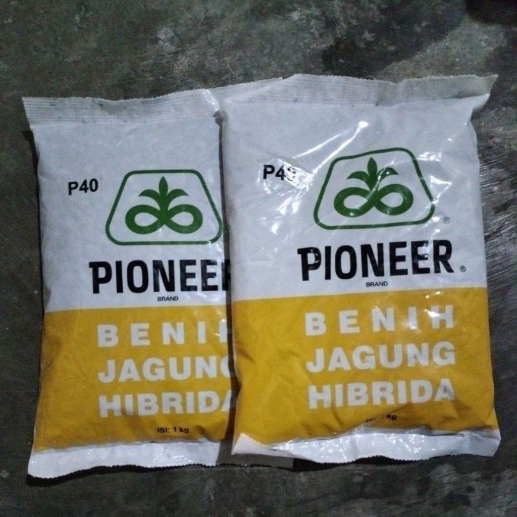 Jual BENIH JAGUNG PIONEER P40 KEMASAN 1KG | Shopee Indonesia