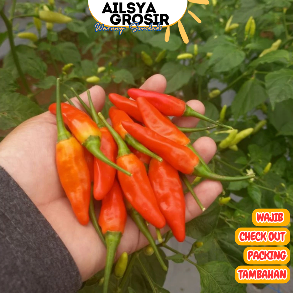Jual CABE RAWIT ORI SEGAR 250 GRAM 1 KG | Shopee Indonesia